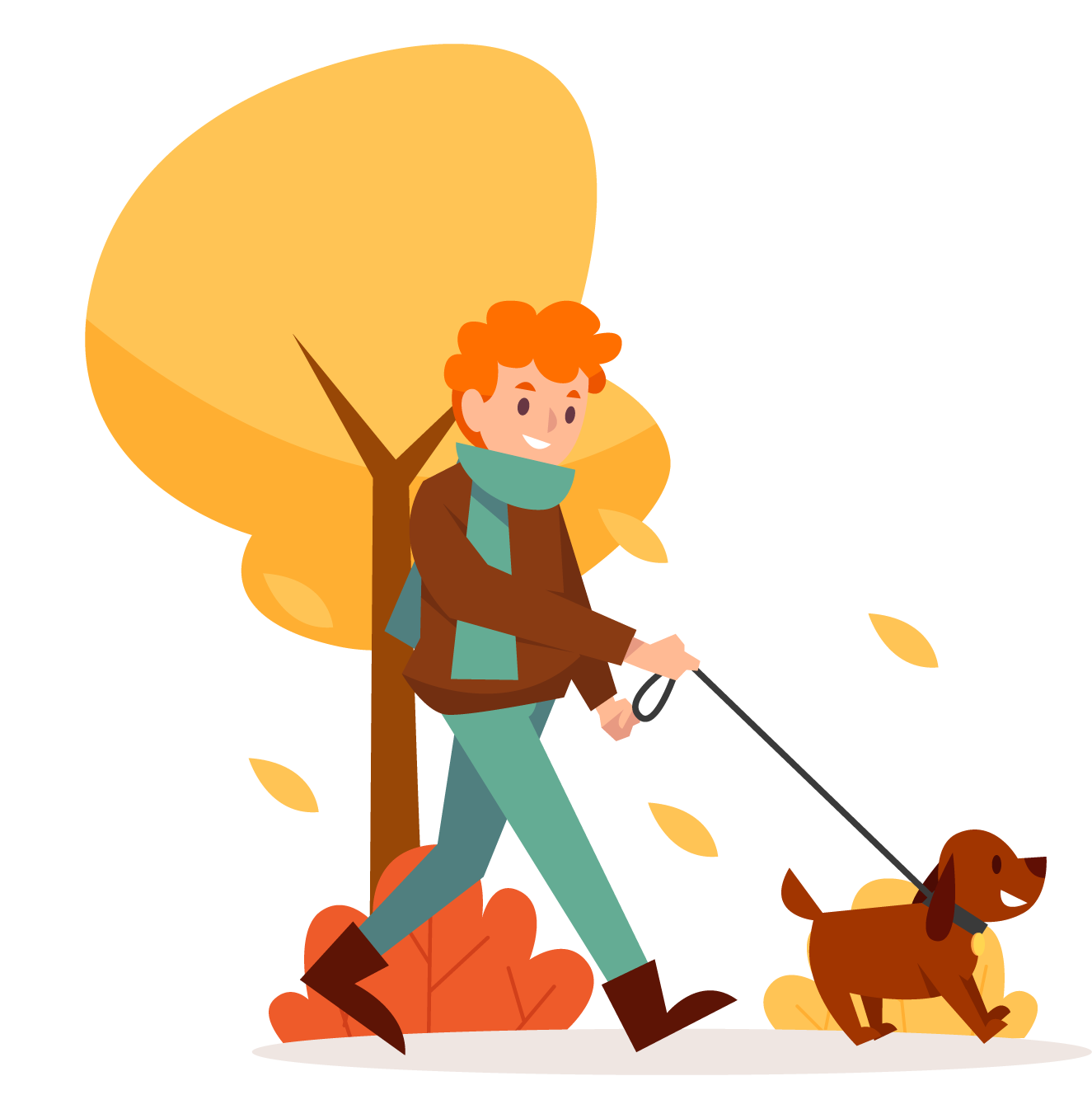 Customized Dog Treadmill Walking Services | Safe and Convenient ...